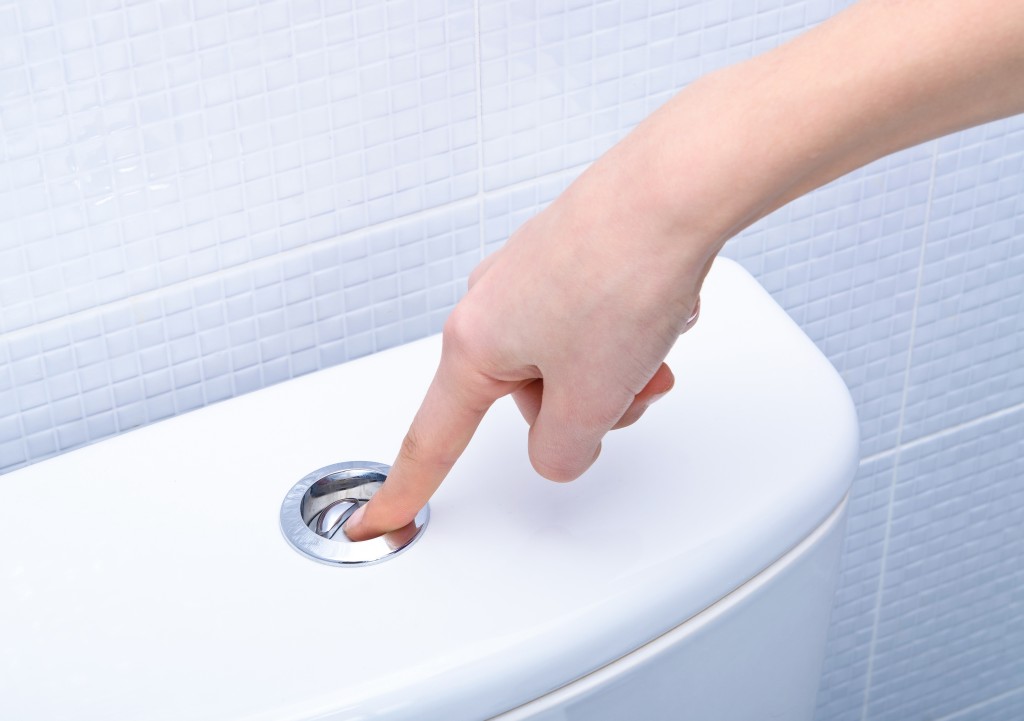 Ever Wondered How the First Toilet Was Invented?
